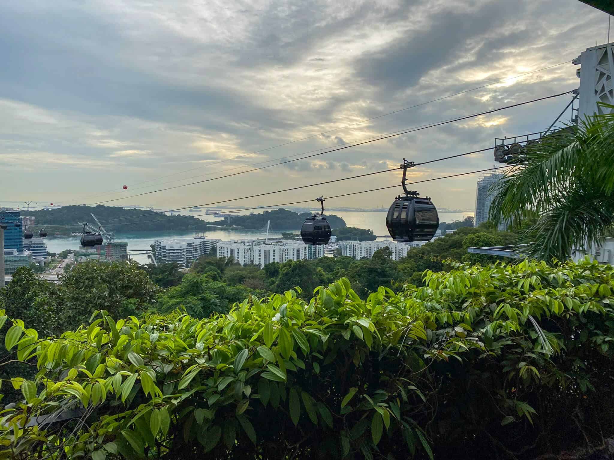 Dusk Restaurant Mount Faber Review - Truly Expat Travel