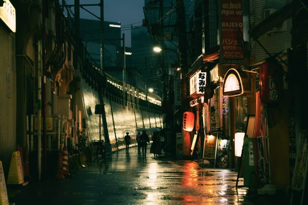 Unearthing Tokyo and it's Hidden Gems - Truly Expat Travel