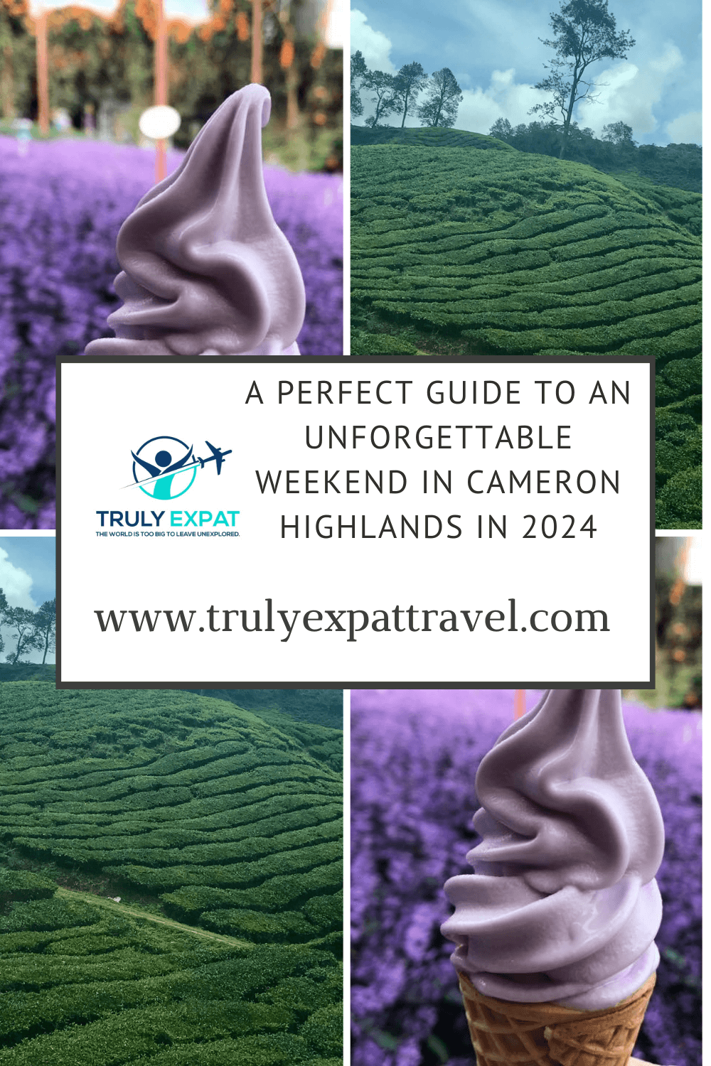 A Perfect Guide to an Unforgettable Weekend in Cameron Highlands in ...