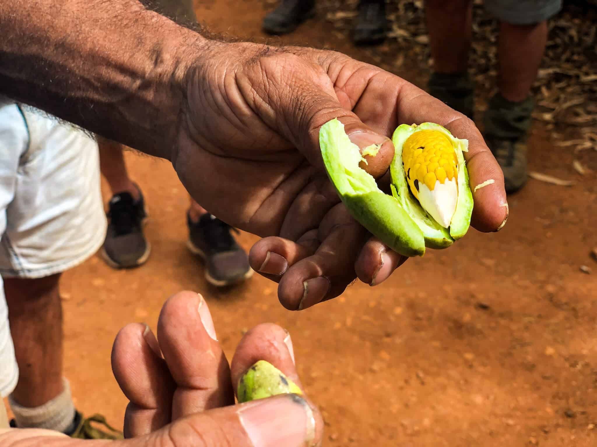 Best activities to try in Uluru - Truly Expat Travel