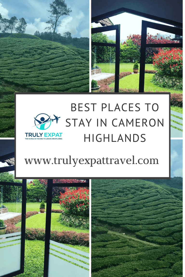 Best places to stay in Cameron Highlands - Truly Expat Travel