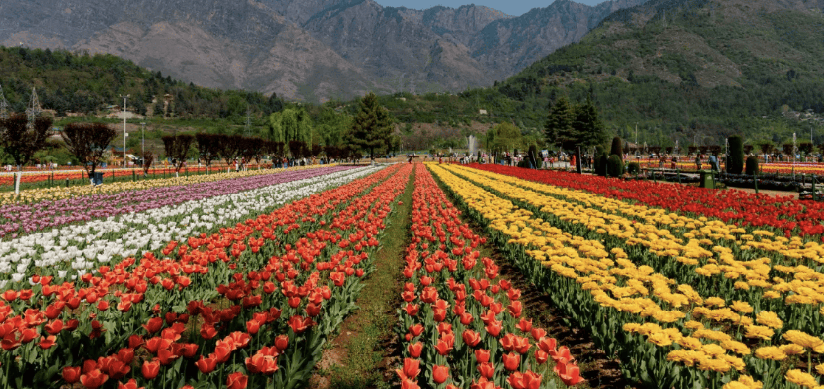 Your Complete Transportation Guide to Travel in Kashmir - Truly Expat ...