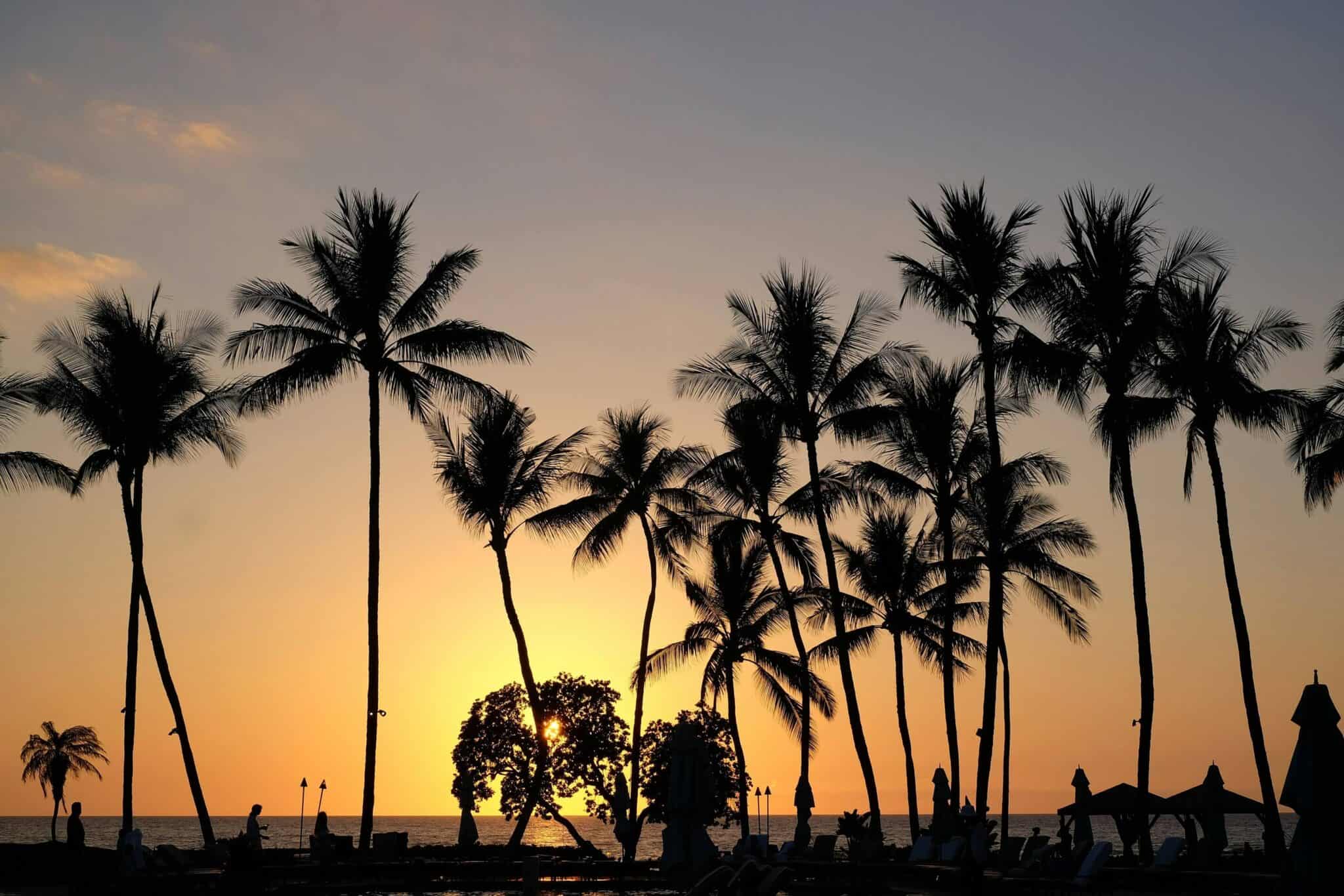 Pacific Island Hopping: A Tropical Adventure Awaits! - Truly Expat Travel