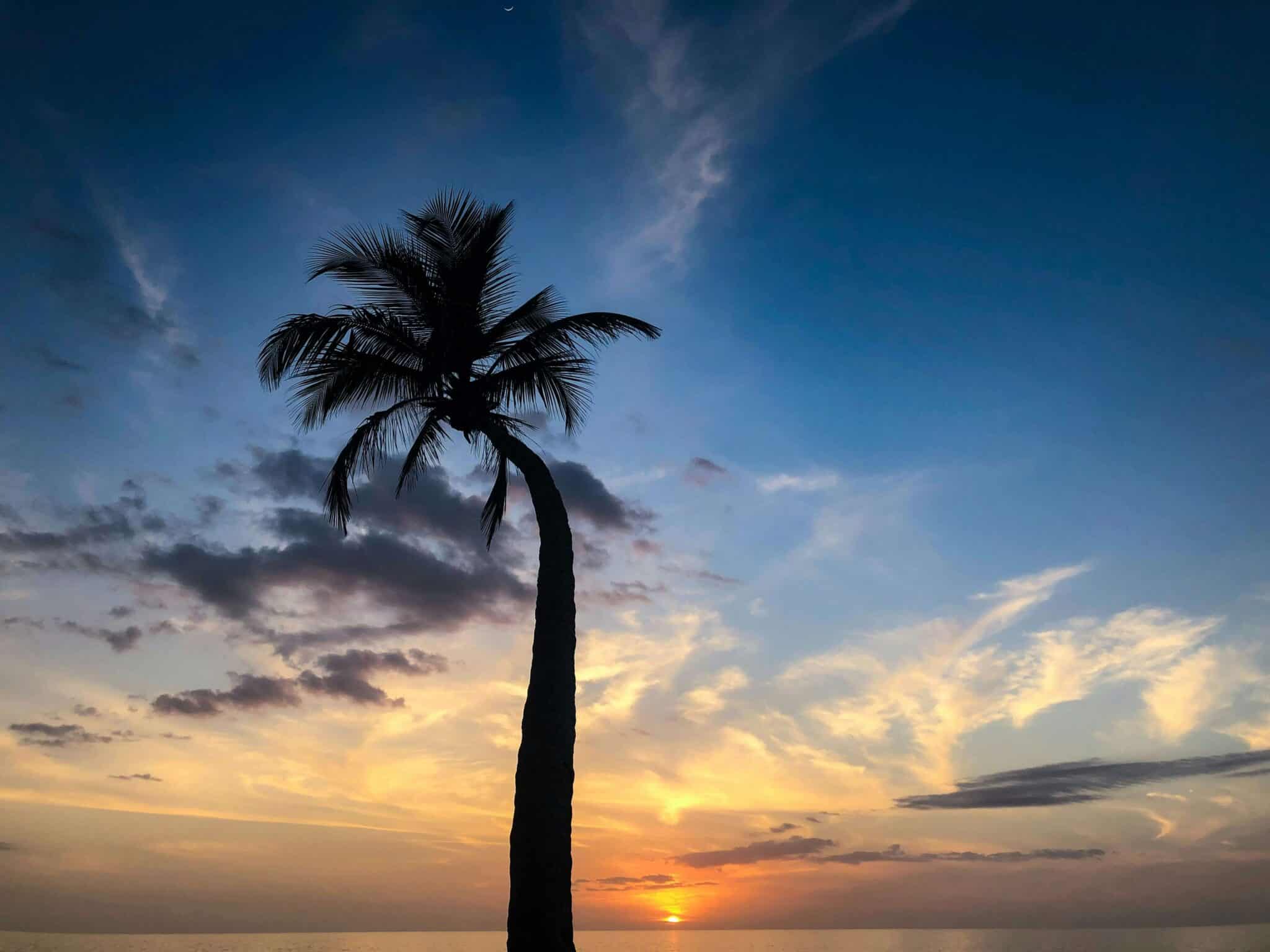 Spend The Best Time: Condos for rent in Naples Florida - Truly Expat Travel